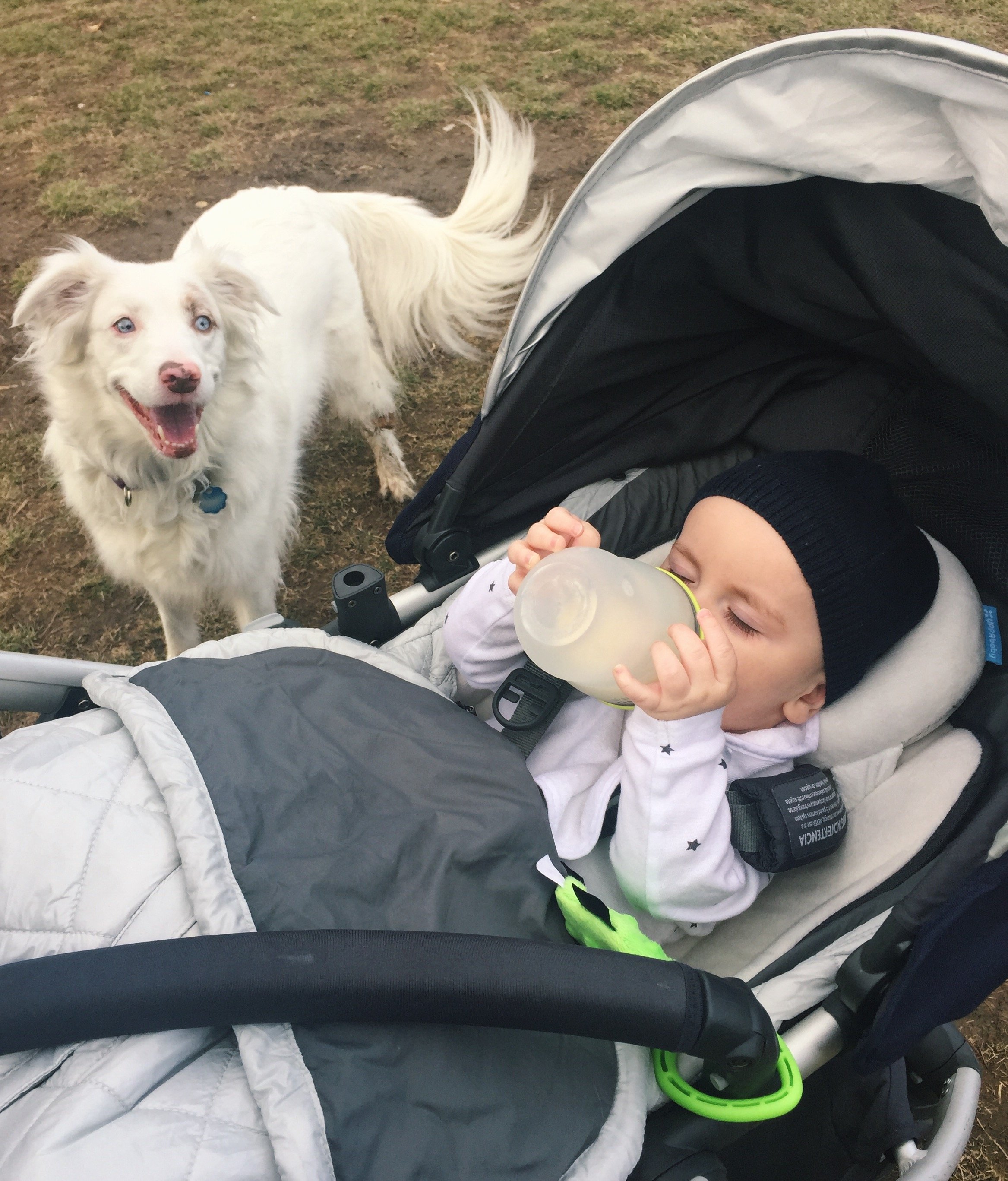 ari2 – fun with the frels